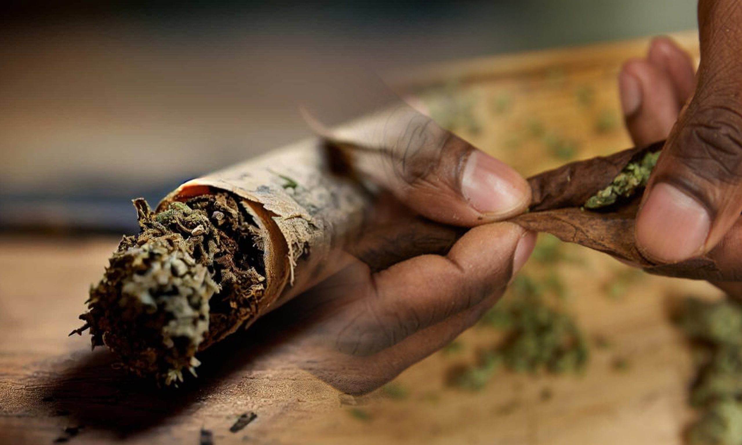 Rolling Up Blunts: A Beginner's Guide to Crafting the Perfect Smoke ...