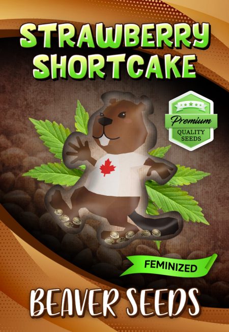 Strawberry Shortcake Strain Feminized Marijuana Seeds | Beaver Seeds
